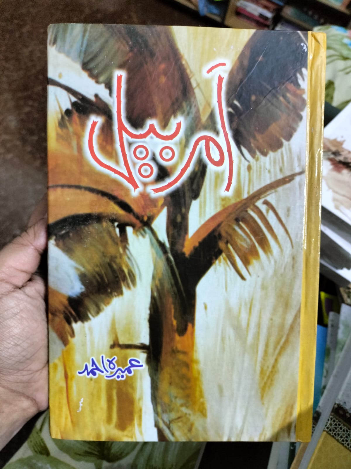 Amarbail by Umera Ahmed – Online Book Store Pakistan